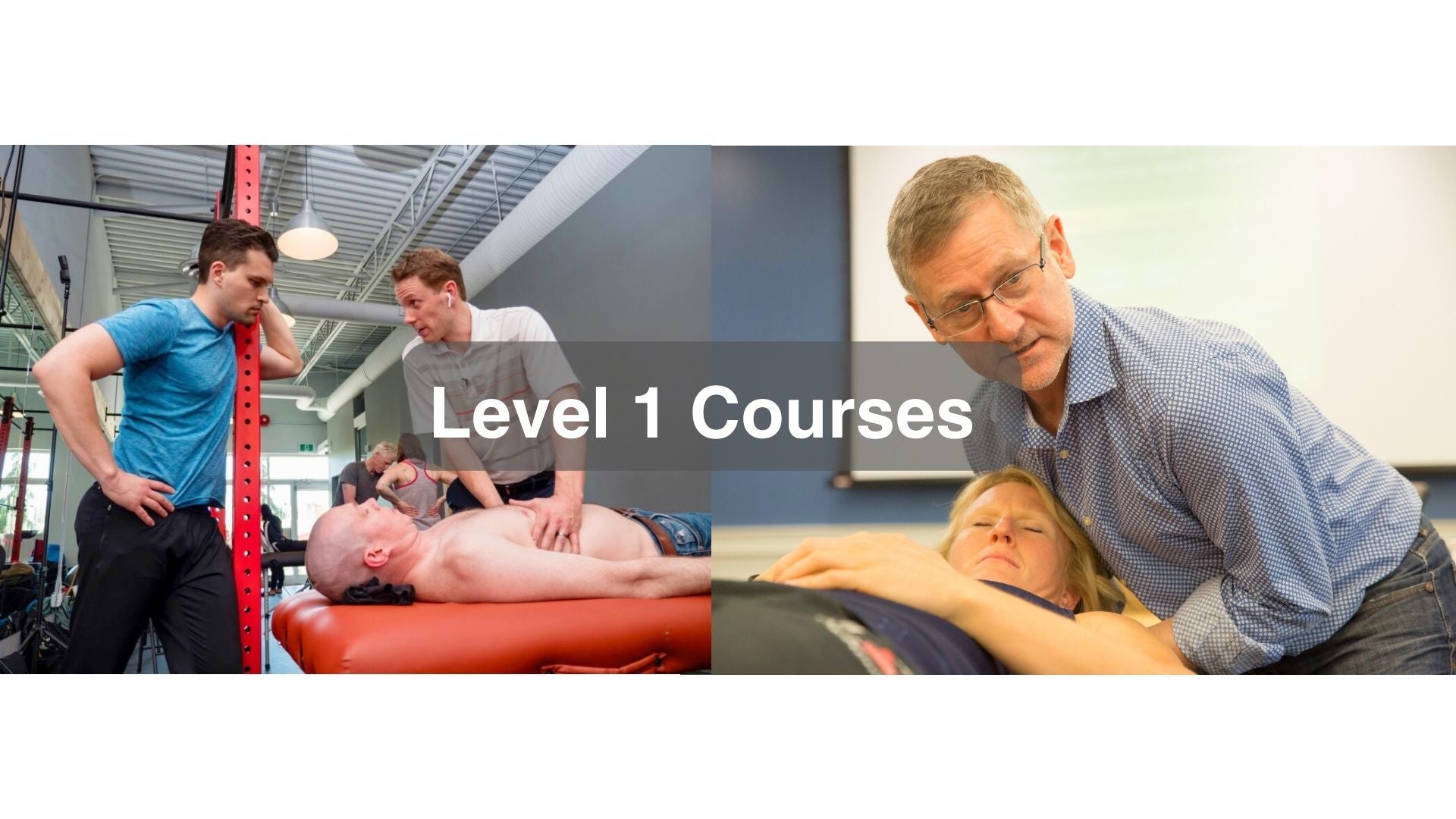 Level 1 Courses – Neurodynamic Solutions